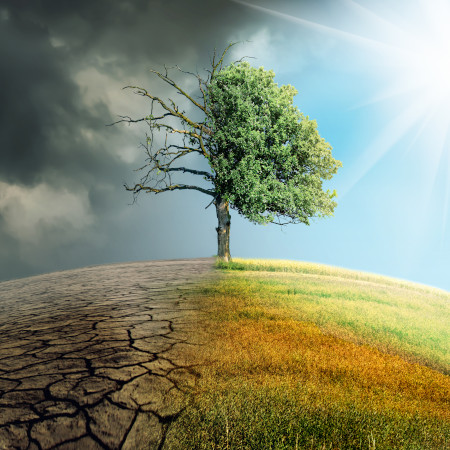 Programme: Science and Management of Climate Change